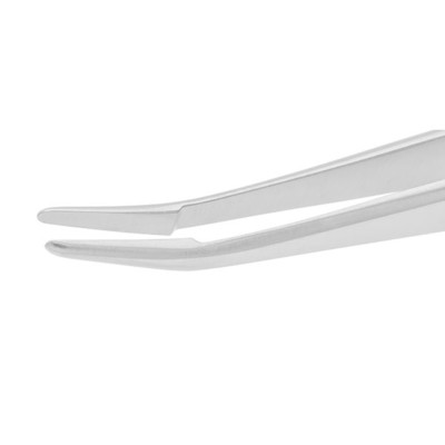 Barraquer Cilia Forceps (S5-1085) – Stephens Instruments