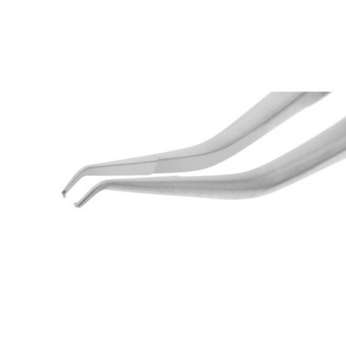 Barraquer Colibri Forceps, 0.12mm With Tying Platform (S5-1120 ...