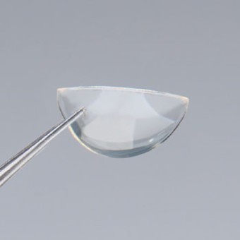 OptiGraft Sterile Cornea (Whole Moon, Full Thickness With Scleral Rim ...