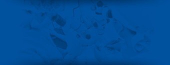 Home – Stephens Instruments